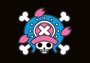 Banderas de One Piece 2025 | DeLuffy